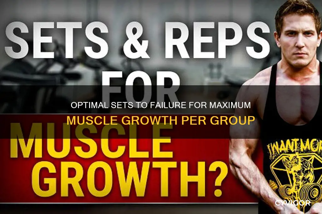 Optimal Sets To Failure For Maximum Muscle Growth Per Group | CyVigor