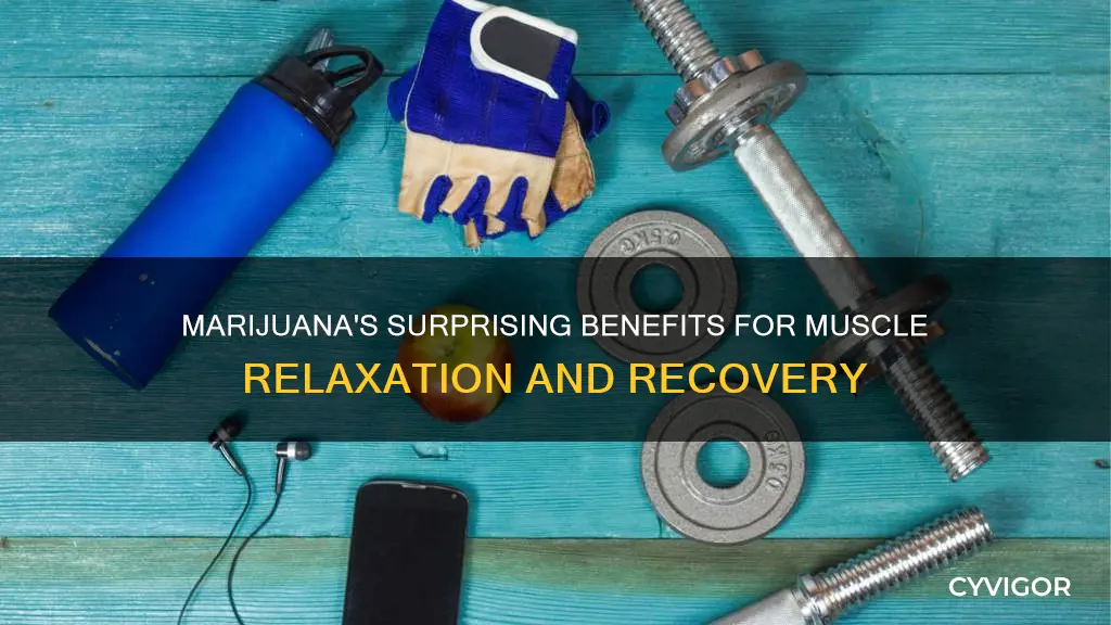 Marijuana's Surprising Benefits For Muscle Relaxation And Recovery ...