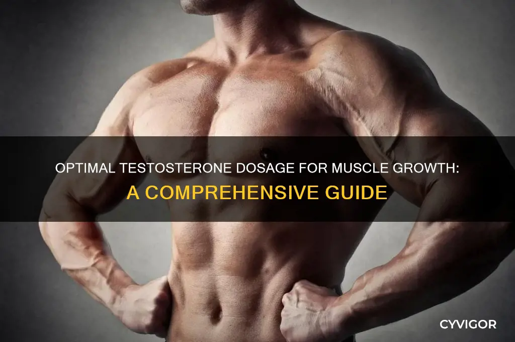 Optimal Testosterone Dosage For Muscle Growth: A Comprehensive Guide ...