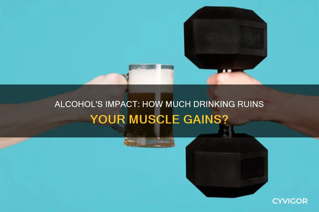 Alcohol's Impact: How Much Drinking Ruins Your Muscle Gains? | CyVigor