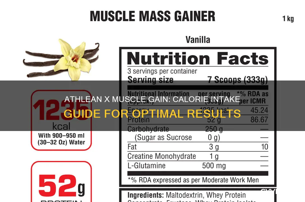 Athlean X Muscle Gain: Calorie Intake Guide For Optimal Results | CyVigor