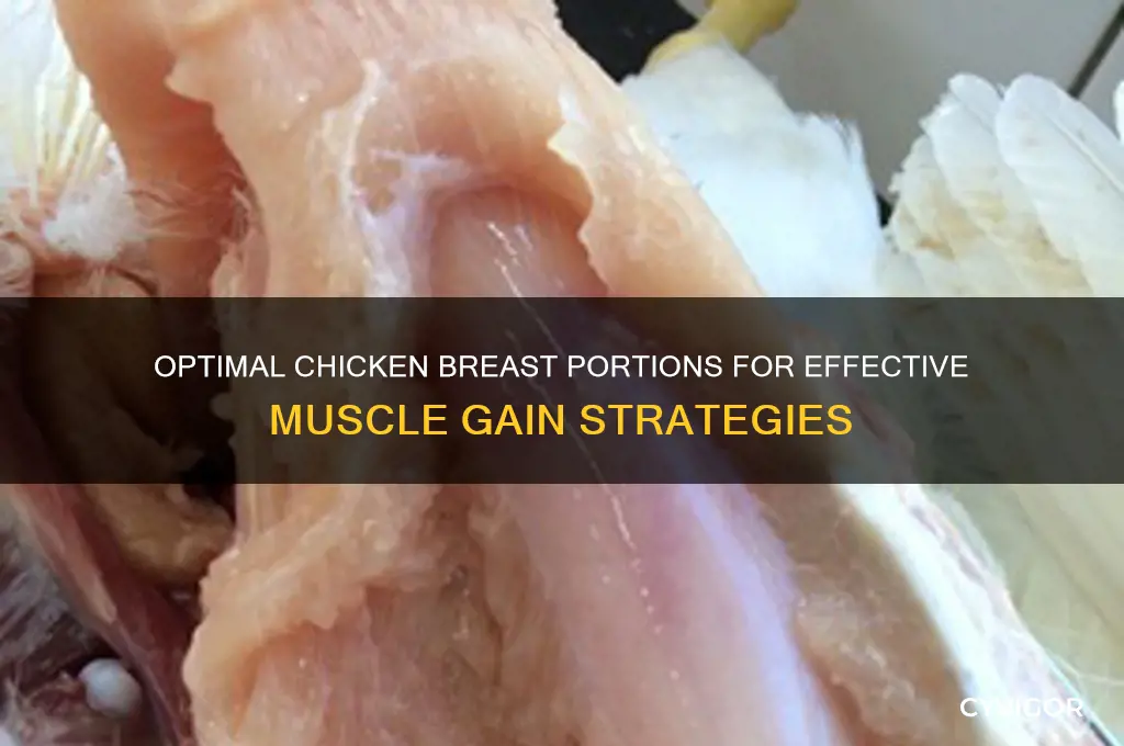Optimal Chicken Breast Portions For Effective Muscle Gain Strategies ...