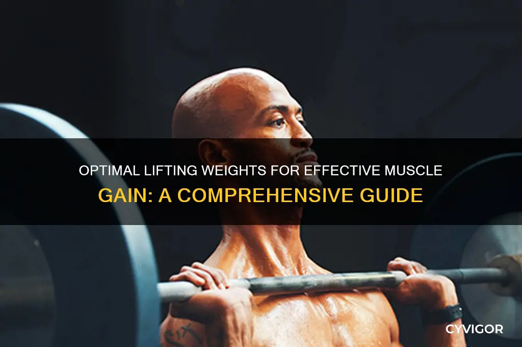 Optimal Lifting Weights For Effective Muscle Gain: A Comprehensive ...