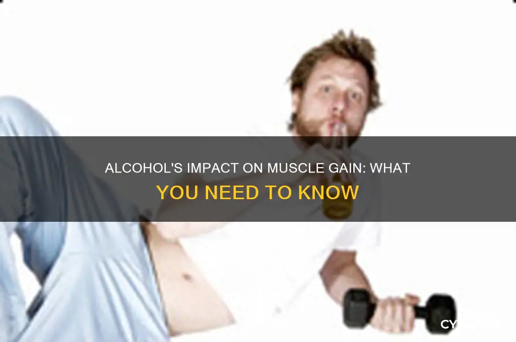 Alcohol's Impact On Muscle Gain: What You Need To Know | CyVigor
