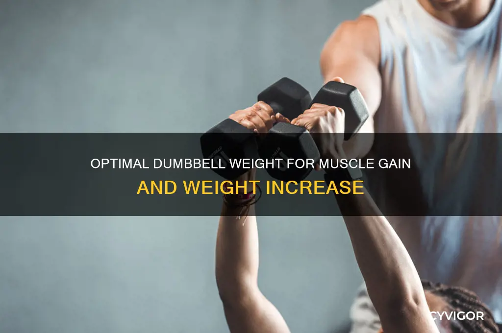Optimal Dumbbell Weight For Muscle Gain And Weight Increase | CyVigor