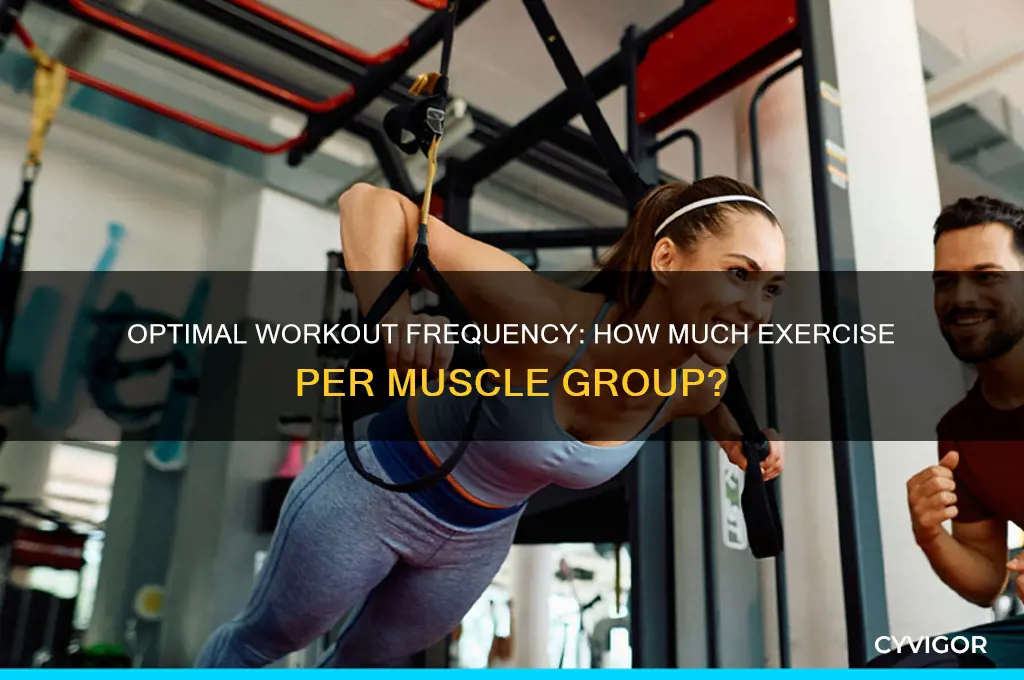 Optimal Workout Frequency: How Much Exercise Per Muscle Group? | CyVigor