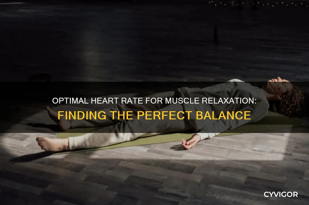 Optimal Heart Rate For Muscle Relaxation: Finding The Perfect Balance ...