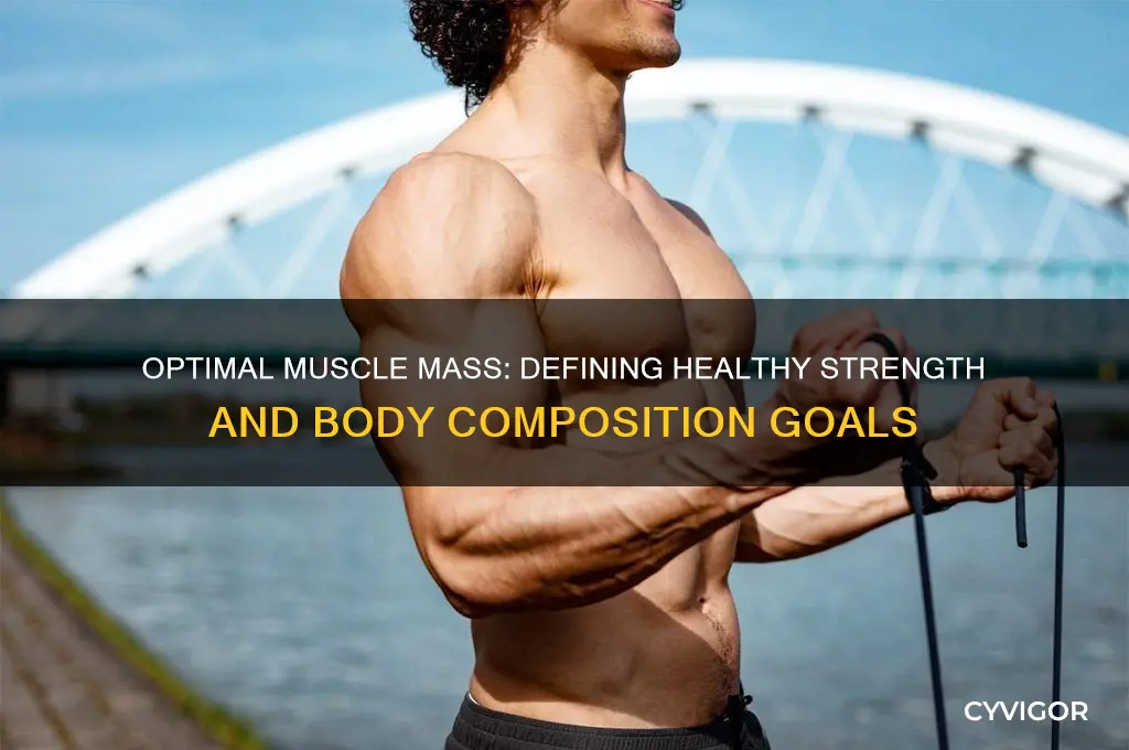 Optimal Muscle Mass: Defining Healthy Strength And Body Composition ...