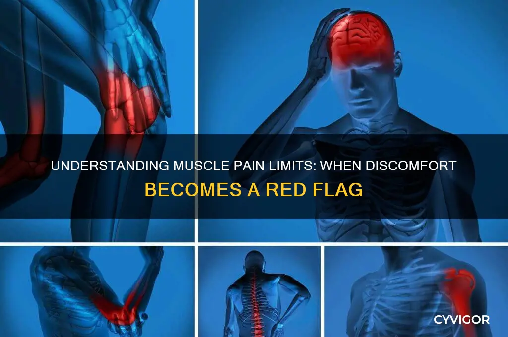 Understanding Muscle Pain Limits: When Discomfort Becomes A Red Flag ...
