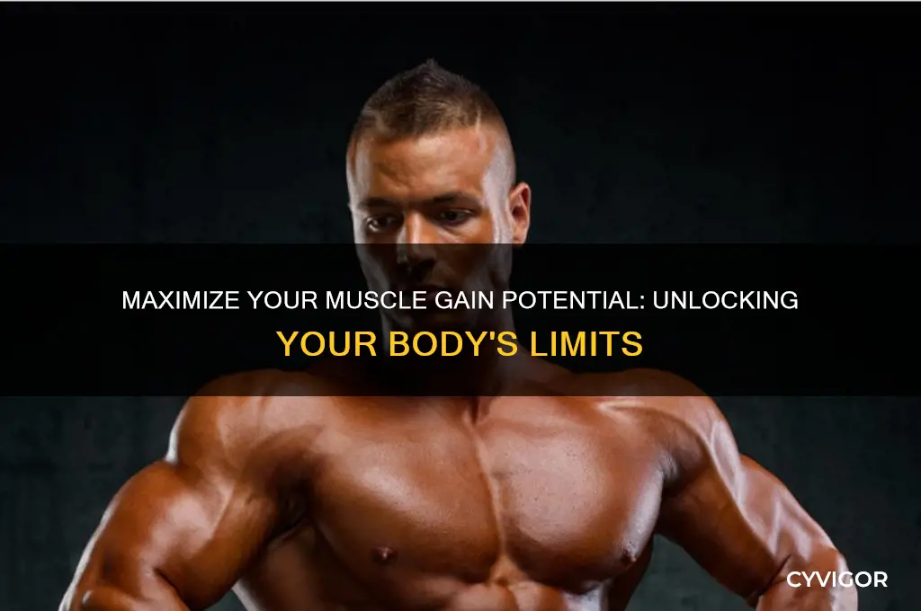 Maximize Your Muscle Gain Potential: Unlocking Your Body's Limits | CyVigor