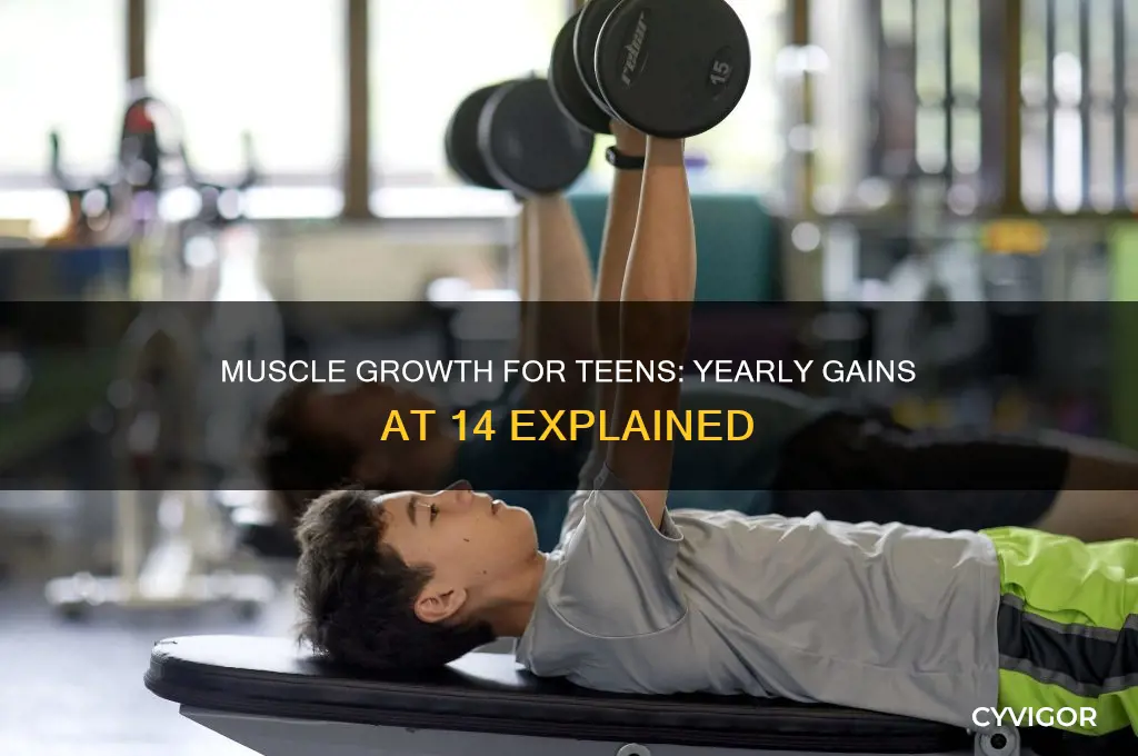 Muscle Growth For Teens: Yearly Gains At 14 Explained | CyVigor