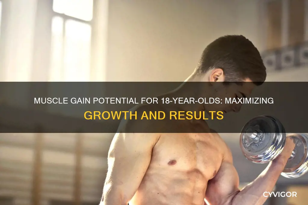 Muscle Gain Potential For 18-Year-Olds: Maximizing Growth And Results ...