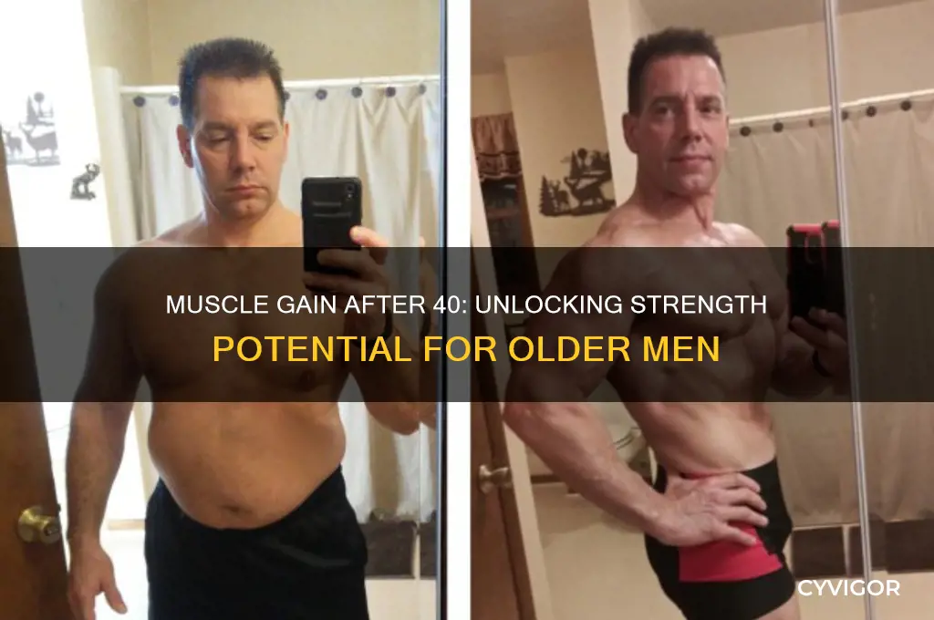 Muscle Gain After 40: Unlocking Strength Potential For Older Men | CyVigor