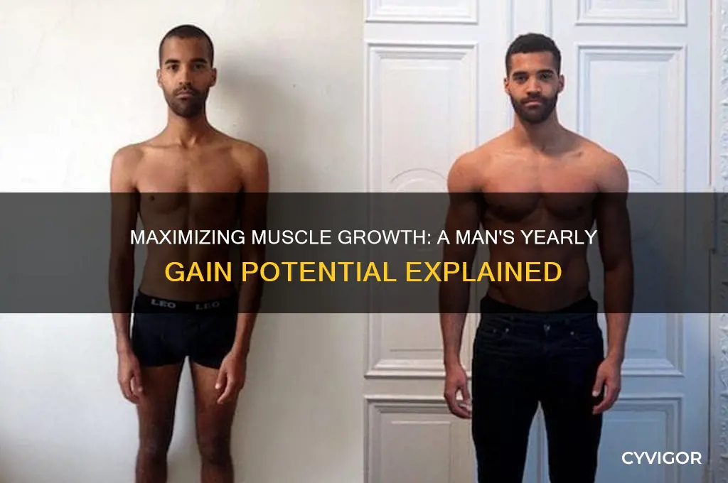 Maximizing Muscle Growth: A Man's Yearly Gain Potential Explained | CyVigor