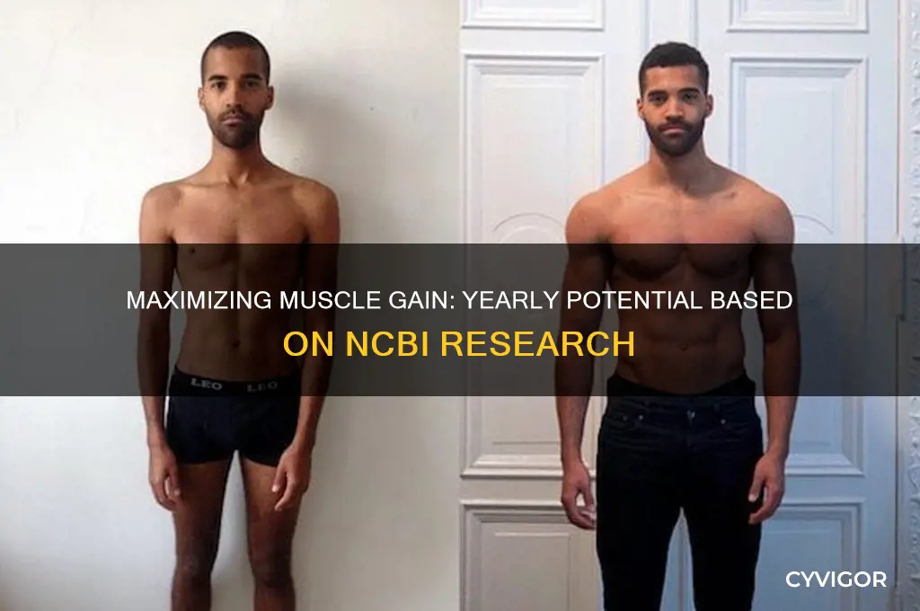 Maximizing Muscle Gain: Yearly Potential Based On Ncbi Research | CyVigor