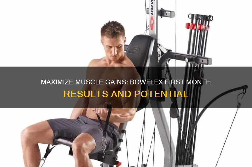 Maximize Muscle Gains: Bowflex First Month Results And Potential | CyVigor