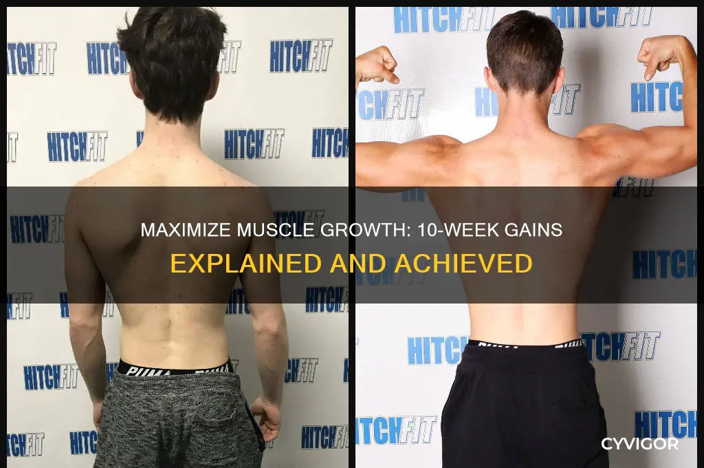 Maximize Muscle Growth: 10-Week Gains Explained And Achieved | CyVigor