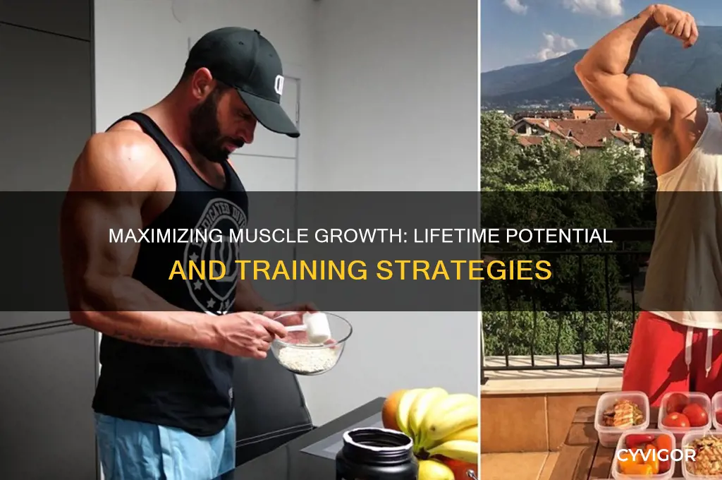 Maximizing Muscle Growth: Lifetime Potential And Training Strategies ...