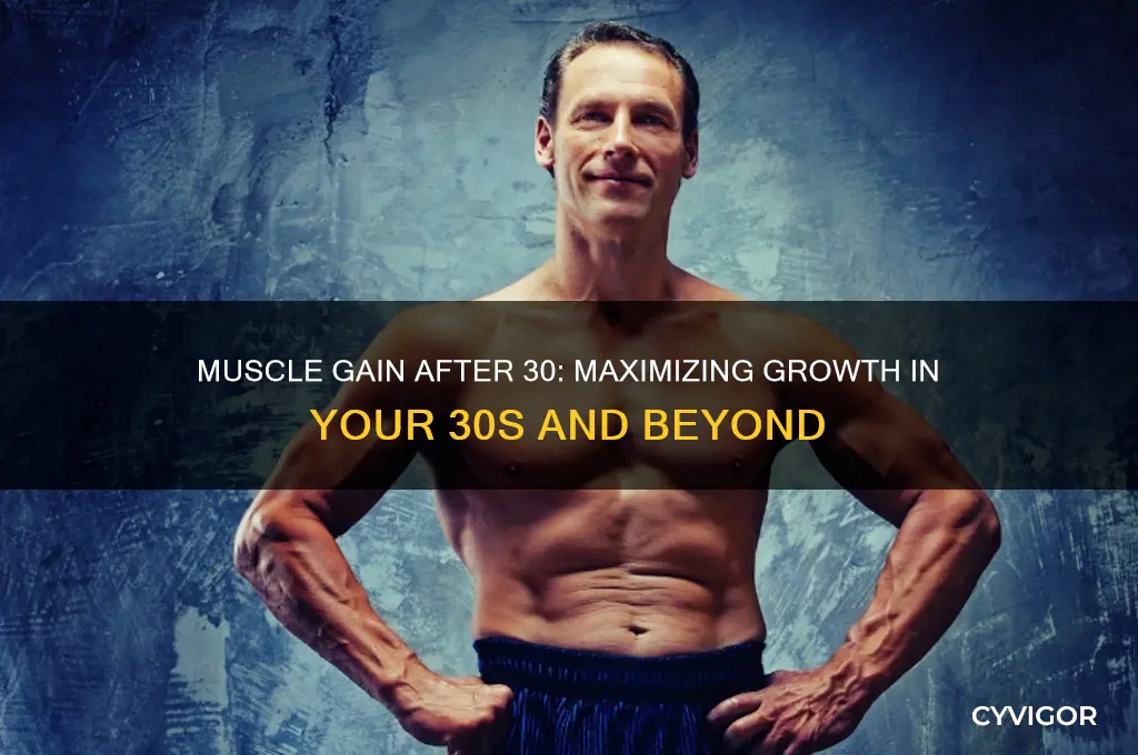 Muscle Gain After 30: Maximizing Growth In Your 30S And Beyond | CyVigor