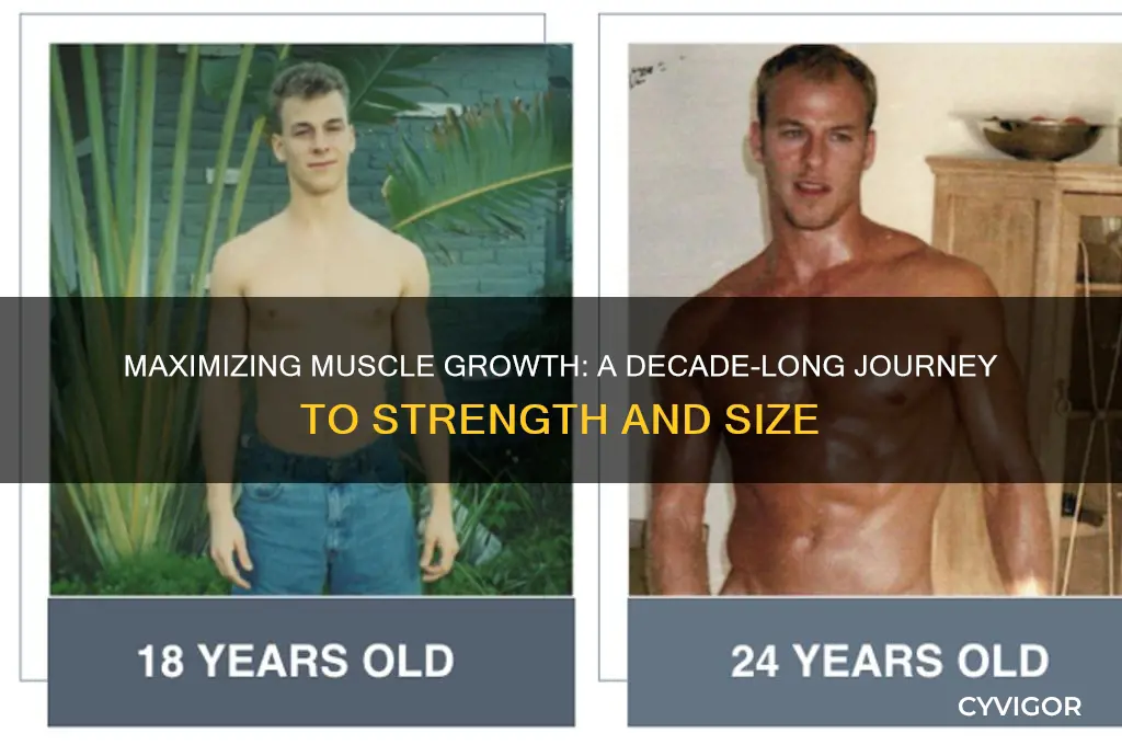 Maximizing Muscle Growth: A Decade-Long Journey To Strength And Size ...