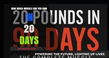 Maximize Your Gains: Realistic Muscle Growth In One Year | CyVigor