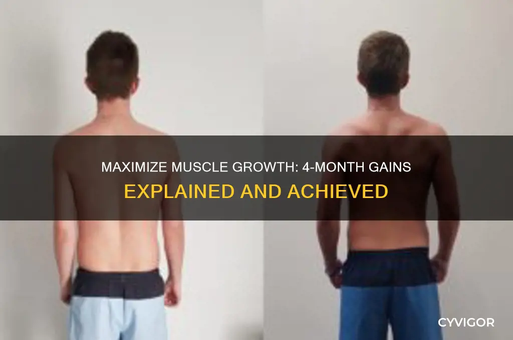 Maximize Muscle Growth: 4-Month Gains Explained And Achieved | CyVigor