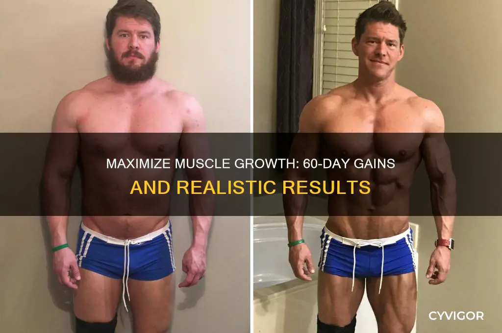 Maximize Muscle Growth: 60-Day Gains And Realistic Results | CyVigor