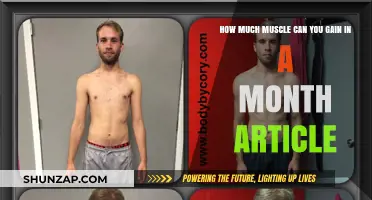Maximize Your Gains: Realistic Muscle Growth In One Year | CyVigor