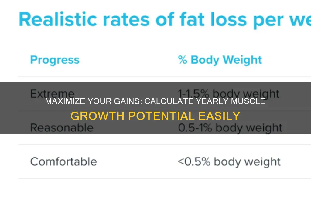 Maximize Your Gains: Calculate Yearly Muscle Growth Potential Easily ...