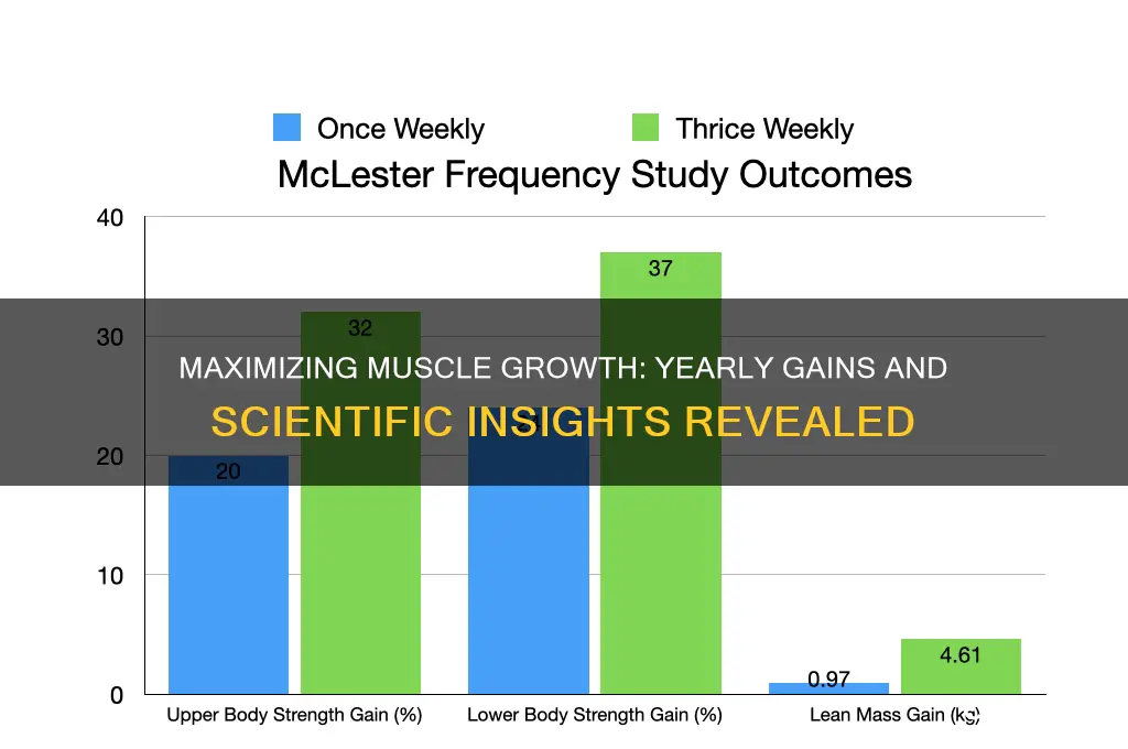 Maximizing Muscle Growth: Yearly Gains And Scientific Insights Revealed ...