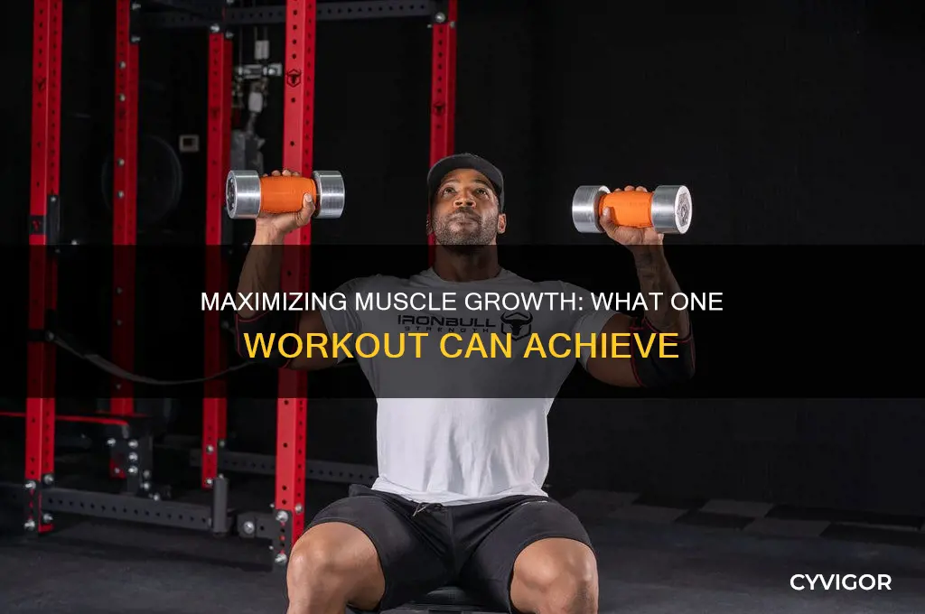 Maximizing Muscle Growth: What One Workout Can Achieve | CyVigor