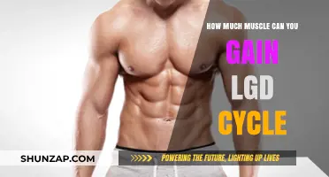 Maximize Your Gains: Realistic Muscle Growth In One Year | CyVigor