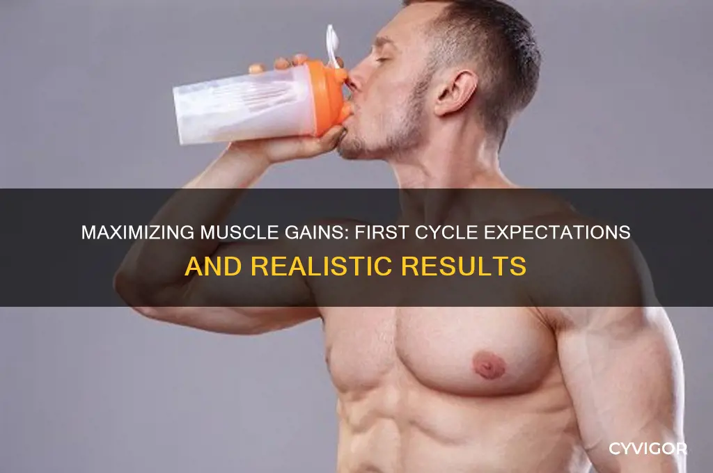 Maximizing Muscle Gains: First Cycle Expectations And Realistic Results ...