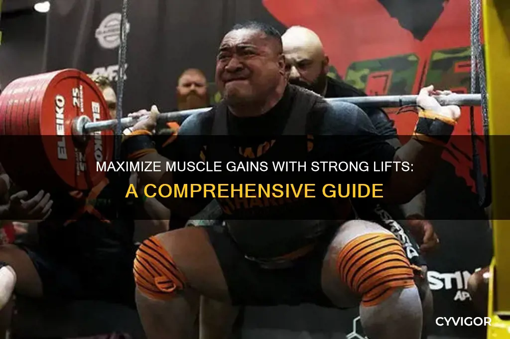 Maximize Muscle Gains With Strong Lifts: A Comprehensive Guide | CyVigor