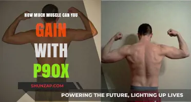 Maximizing Muscle Growth: Realistic Yearly Gains And Strategies | CyVigor