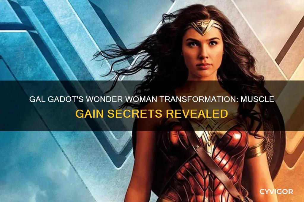 Gal Gadot's Wonder Woman Transformation: Muscle Gain Secrets Revealed ...