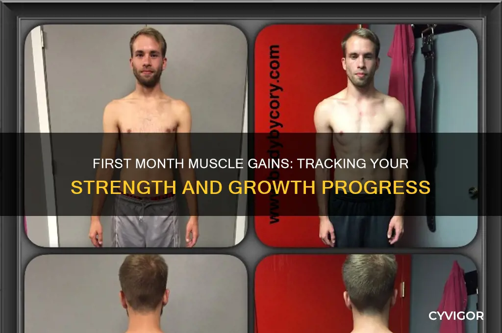 First Month Muscle Gains: Tracking Your Strength And Growth Progress ...