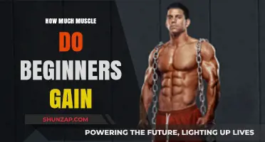 Muscle Gains On A Bulk: What To Realistically Expect | CyVigor