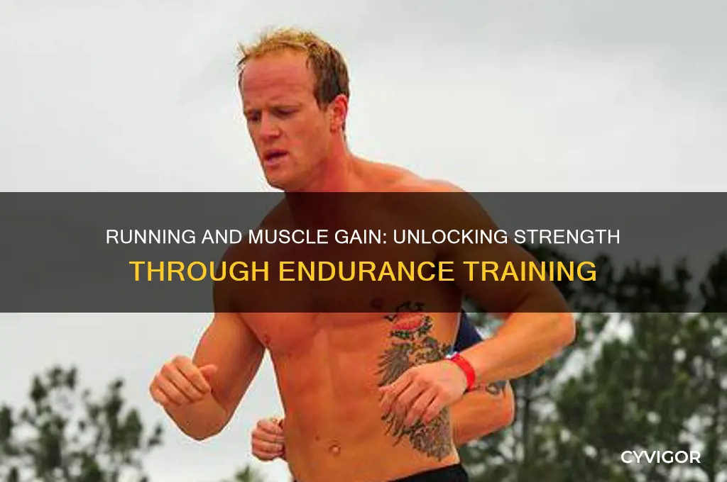 Running And Muscle Gain: Unlocking Strength Through Endurance Training ...