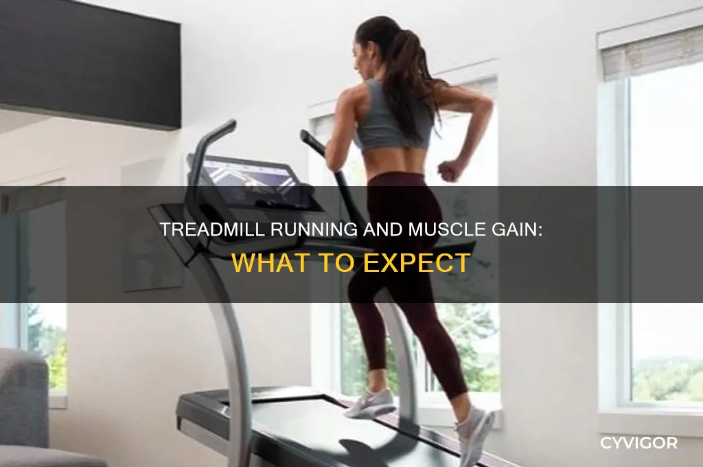 Treadmill Running And Muscle Gain: What To Expect | CyVigor