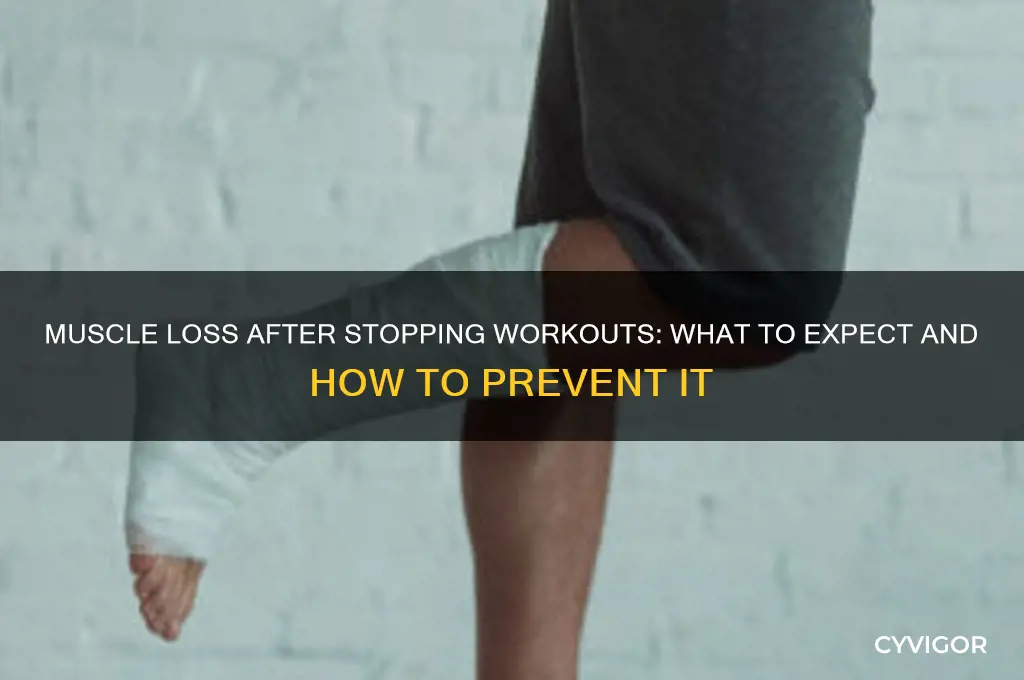 Muscle Loss After Stopping Workouts: What To Expect And How To Prevent ...