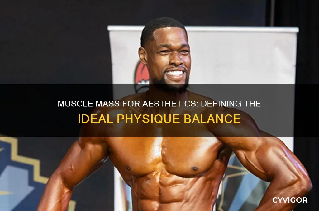 Muscle Mass For Aesthetics: Defining The Ideal Physique Balance | CyVigor