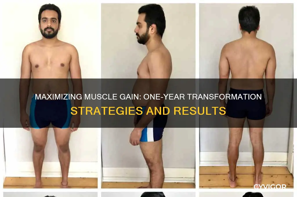 Maximizing Muscle Gain: One-Year Transformation Strategies And Results ...