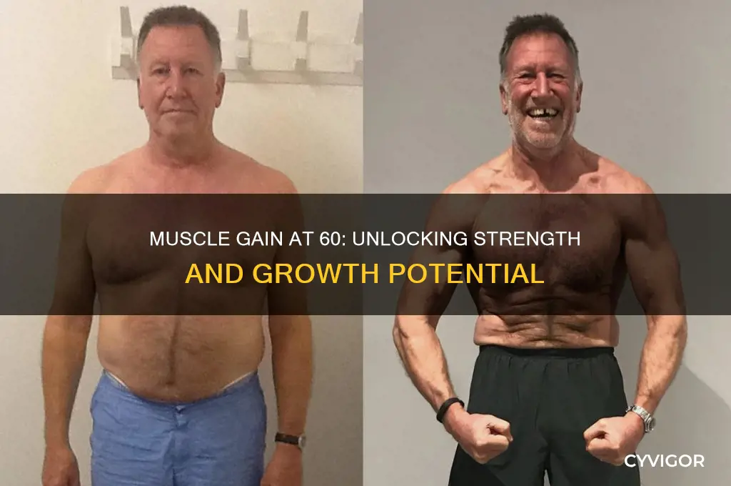 Muscle Gain At 60: Unlocking Strength And Growth Potential | CyVigor
