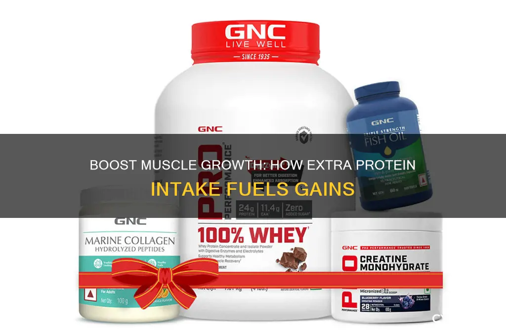 Boost Muscle Growth: How Extra Protein Intake Fuels Gains | CyVigor