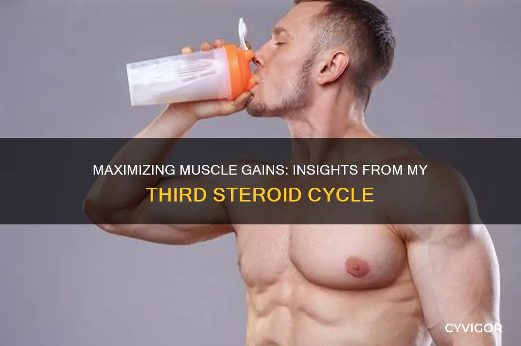 Maximizing Muscle Gains: Insights From My Third Steroid Cycle | CyVigor