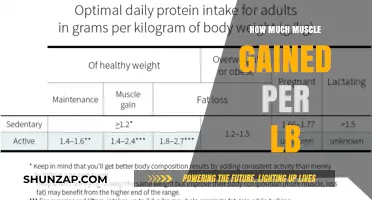Maximize Your Gains: Realistic Muscle Mass Growth In A Year | CyVigor
