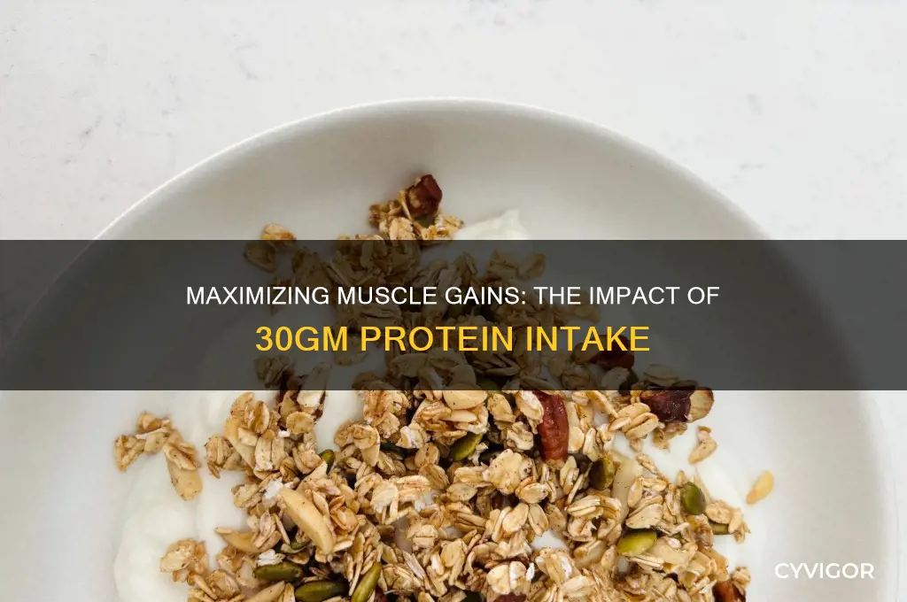 Maximizing Muscle Gains: The Impact Of 30Gm Protein Intake | CyVigor