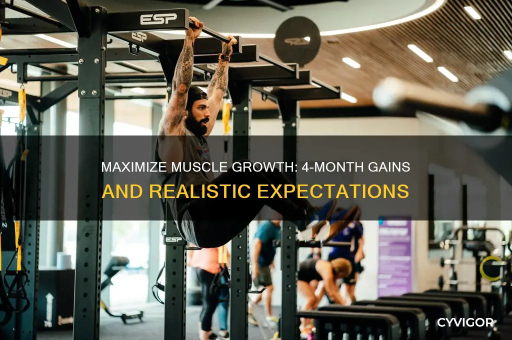Maximize Muscle Growth: 4-Month Gains And Realistic Expectations | CyVigor