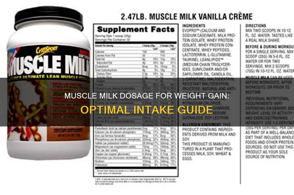 Muscle Milk Dosage For Weight Gain: Optimal Intake Guide | CyVigor